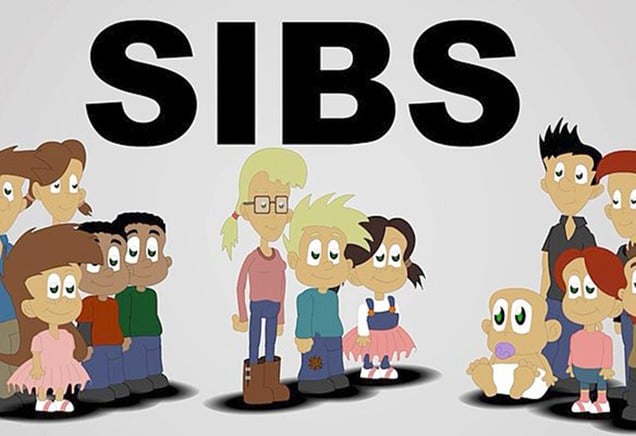 Hvordan bli god på å lede SIBS grupper? - Frambu